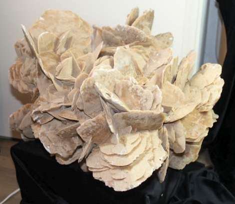 Woestijnroos | De Warmtesteen.nl